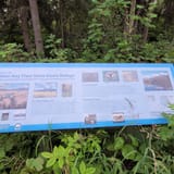Scout Ridge Trail, Alaska - 233 Reviews, Map | AllTrails