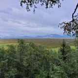 Scout Ridge Trail, Alaska - 233 Reviews, Map | AllTrails