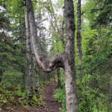 Scout Ridge Trail, Alaska - 233 Reviews, Map | AllTrails