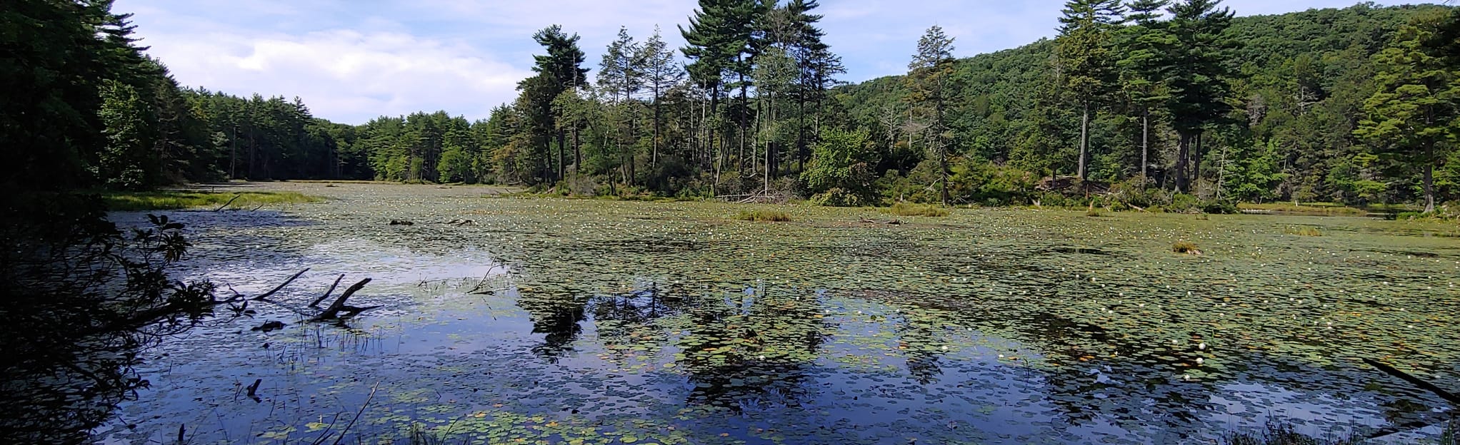 Nipmuck Trail: Breakneck Pond to Perry Hill Road, Connecticut - 16 ...