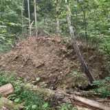 Nebo Ridge Trail, Indiana - 196 Reviews, Map | AllTrails