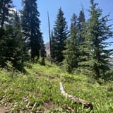 Sharkstooth Pass Trail, Colorado - 157 Reviews, Map | AllTrails