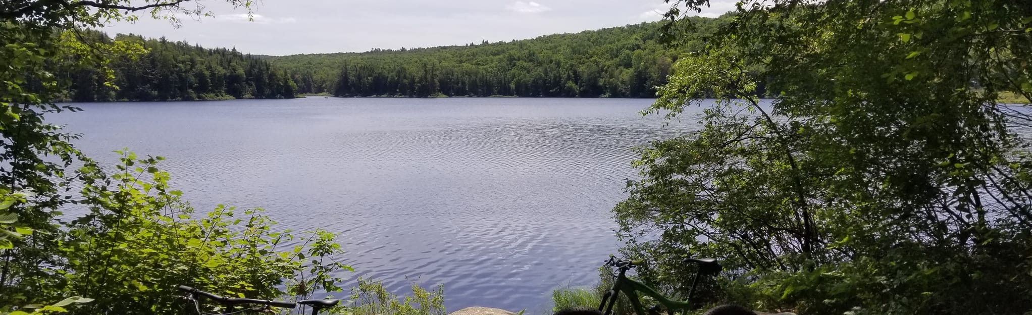 Brook Trail, New Hampshire - 17 Reviews, Map | AllTrails
