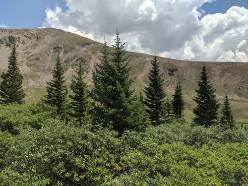 10 Best Hikes and Trails in State Forest State Park | AllTrails