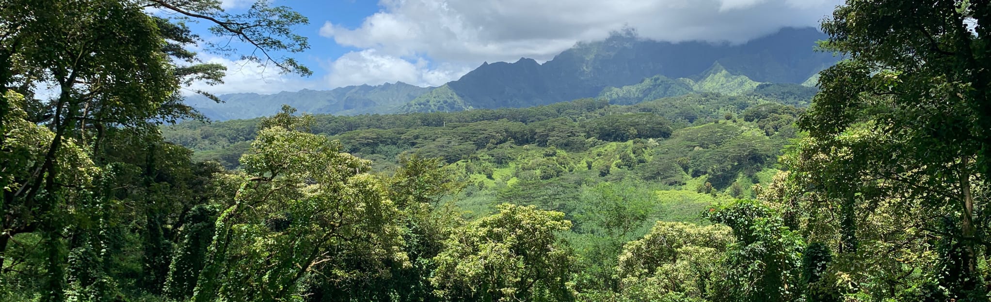 Kuilau Ridge Trail: 1848 Reviews, Map - Kaua'i, Hawaii | AllTrails