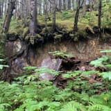 Mount Jumbo (Bradley) Trail, Alaska - 180 Reviews, Map | AllTrails