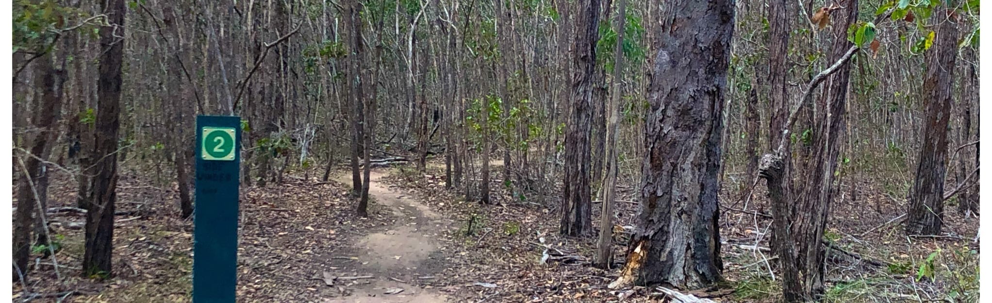 Outer Limits, Queensland, Australia - 21 Reviews, Map | AllTrails