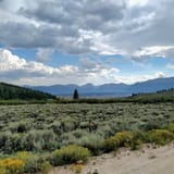 Weston Pass Road, Colorado - 162 Reviews, Map | AllTrails