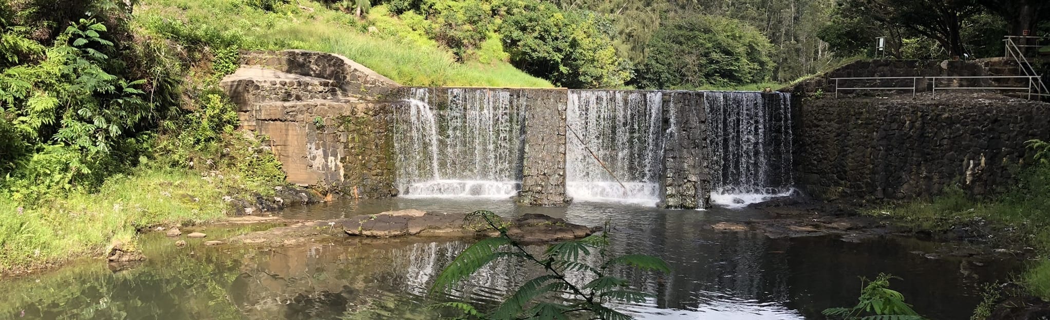 Wai Koa Loop Trail, Kaua'i, Hawaii - 1,283 Reviews, Map | AllTrails