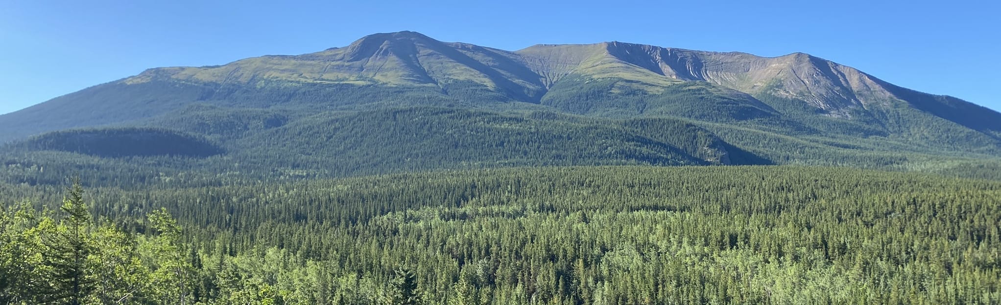 Mount Mawdsley, Alberta, Canada - 8 Reviews, Map | AllTrails