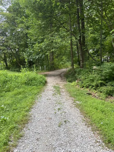 Best Hikes and Trails in Bushy Run Battlefield | AllTrails