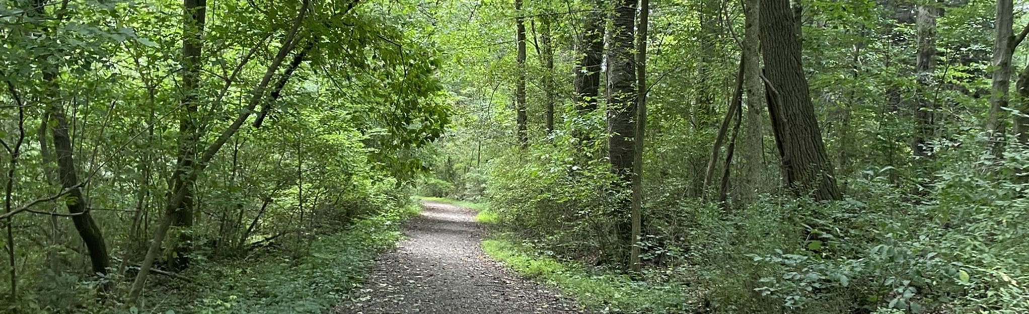 Bushy Run Battlefield Loop, Pennsylvania - 118 Reviews, Map | AllTrails