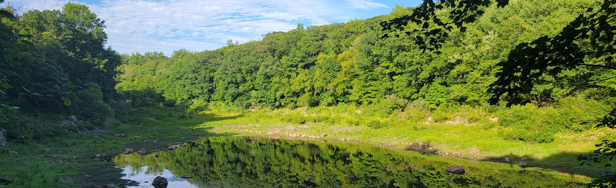 Ringwood Mountain Bike Trail Loop: 75 Reviews, Map - New Jersey | AllTrails