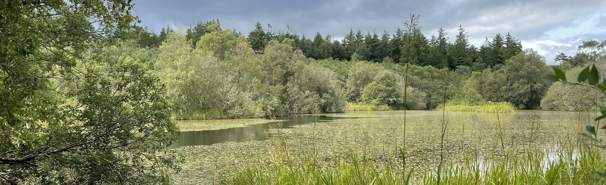 Tourmakeady Nature Trail: 27 Reviews, Map - County Mayo, Ireland ...