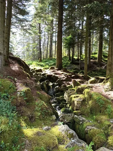 10 Best Trails and Hikes in Bergen | AllTrails