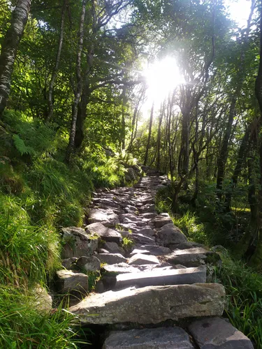 10 Best Trails and Hikes in Bergen | AllTrails
