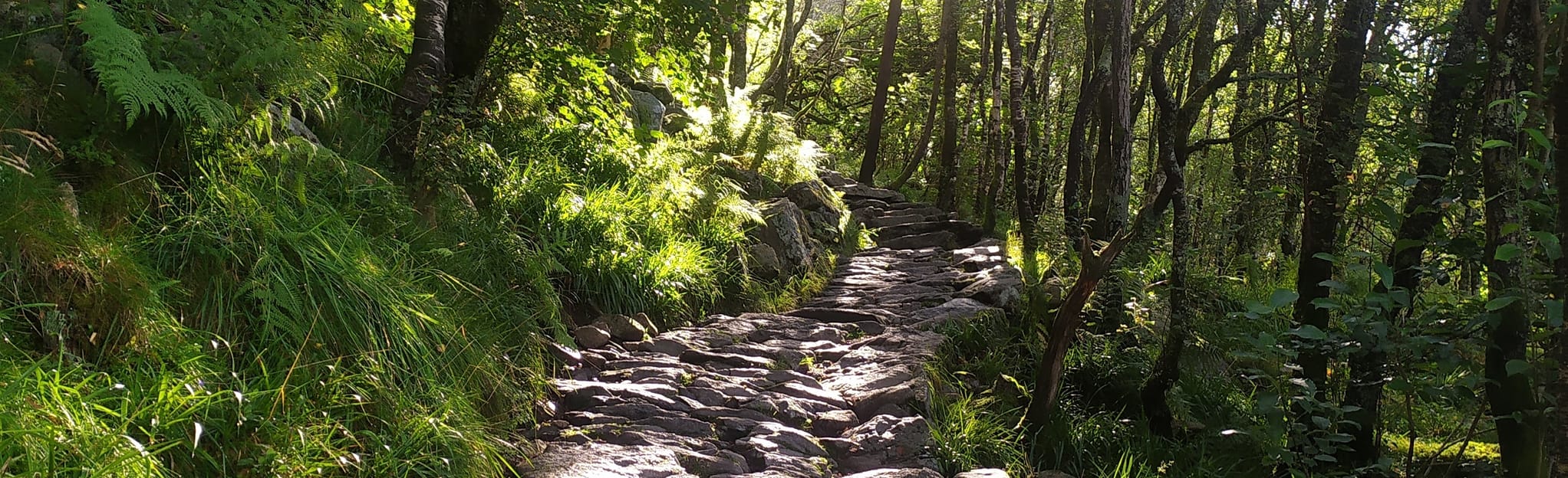 Stoltzekleiven - Fløyen | Map, Guide - Vestland, Norway | AllTrails