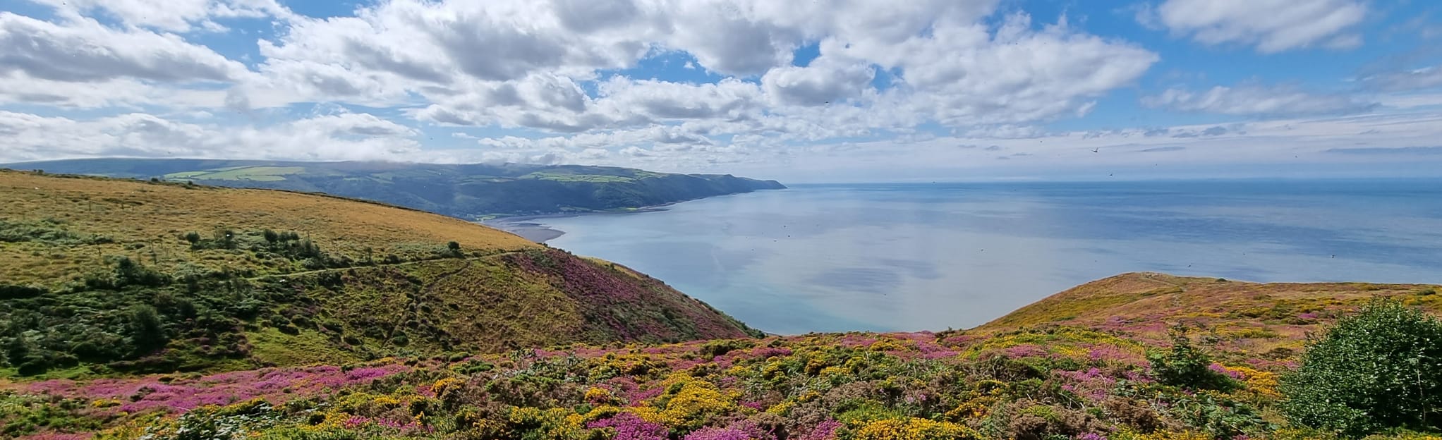 Minehead to Porlock Weir via South West Coast Path, 351 Fotos ...