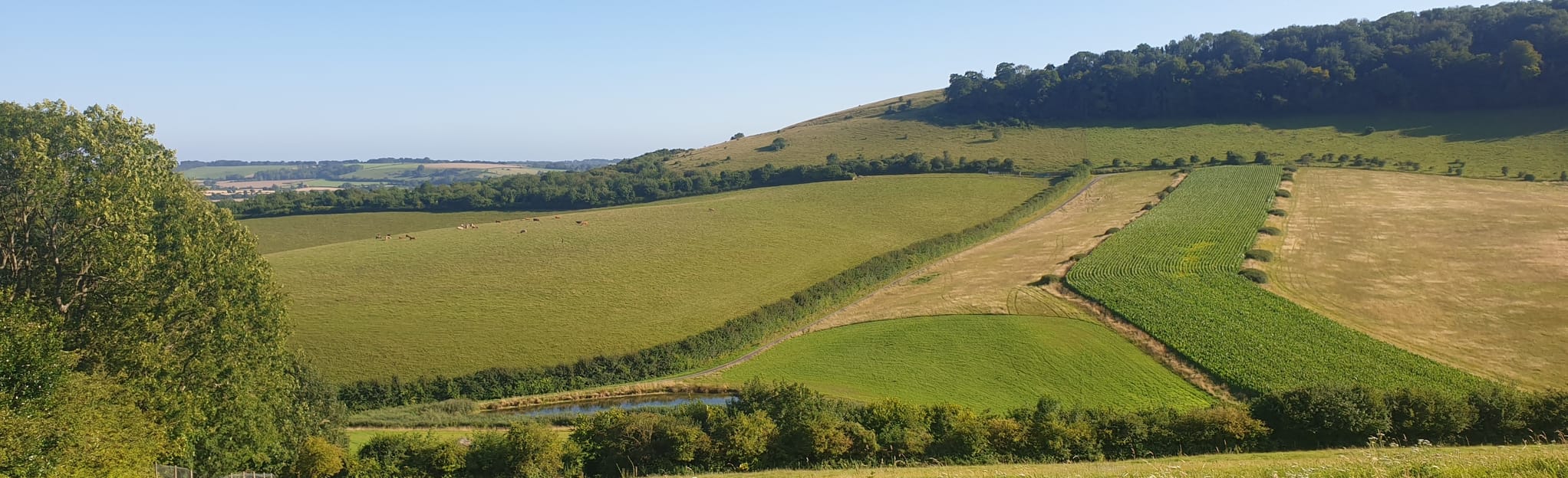 Meon Valley via Railway Line, Hampshire, England - 29 Reviews, Map ...