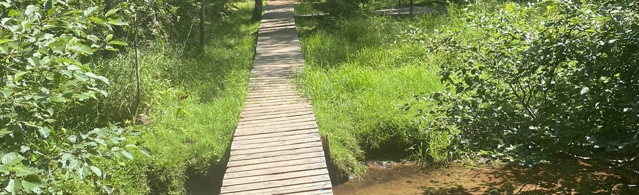 Mi'Kmawey Interpretive Trail: 202 Reviews, Map - Nova Scotia, Canada ...