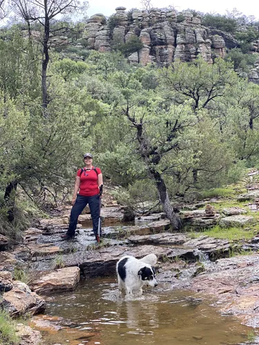 2023 Best Camping Trails in Parque Nacional Cumbres de Majalca | AllTrails