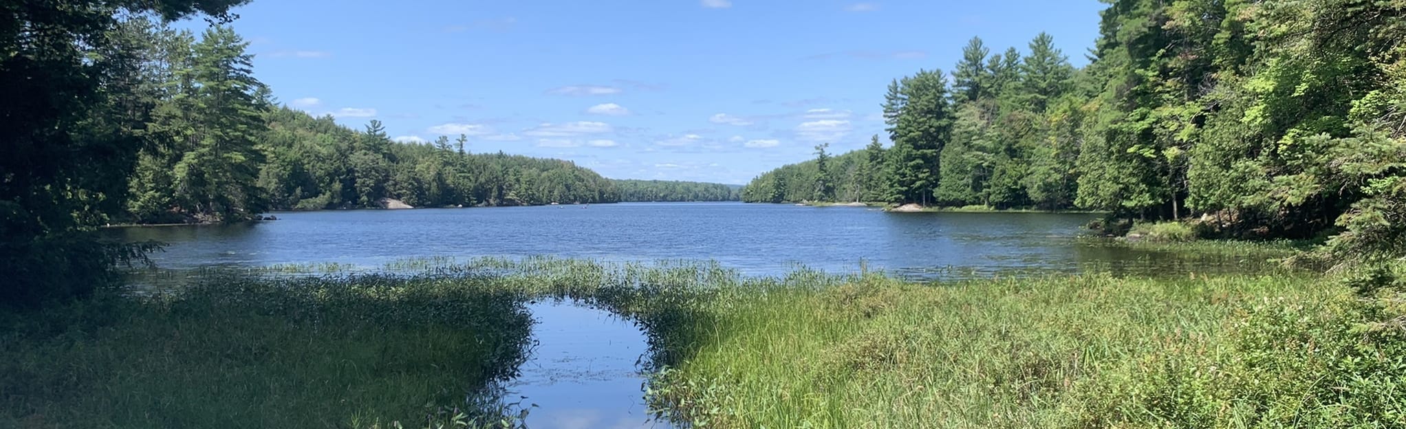Silent Lake Shoreline Trail: 791 foto - Ontario, Canada | AllTrails