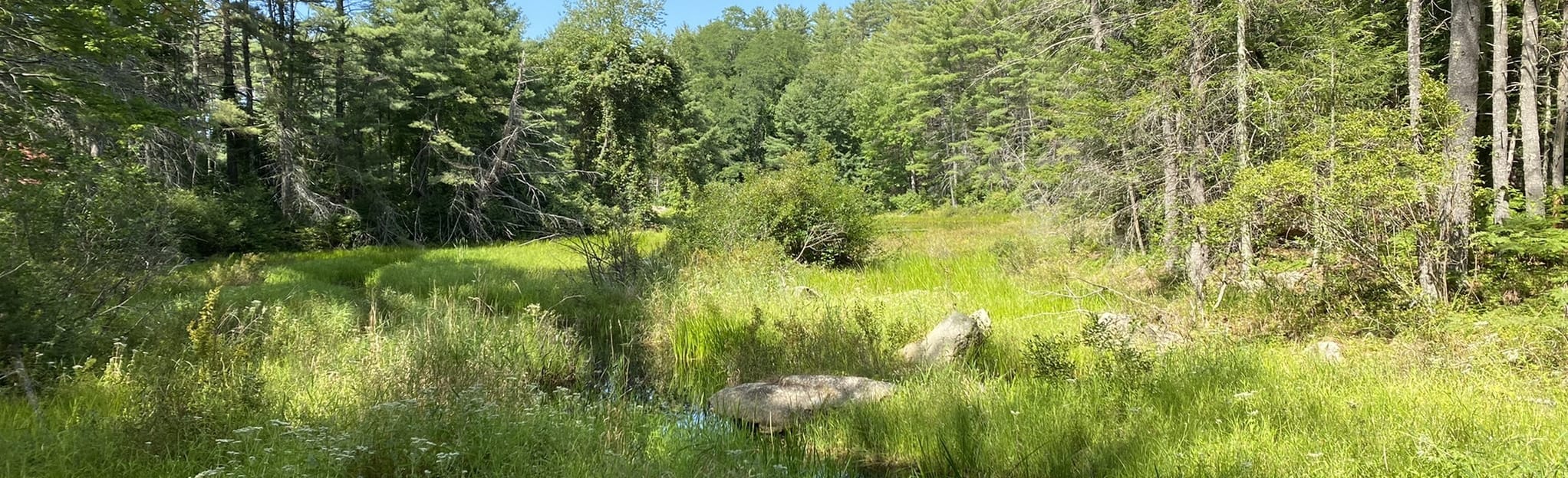 Pudding Pond Loop, New Hampshire - 282 Reviews, Map | AllTrails