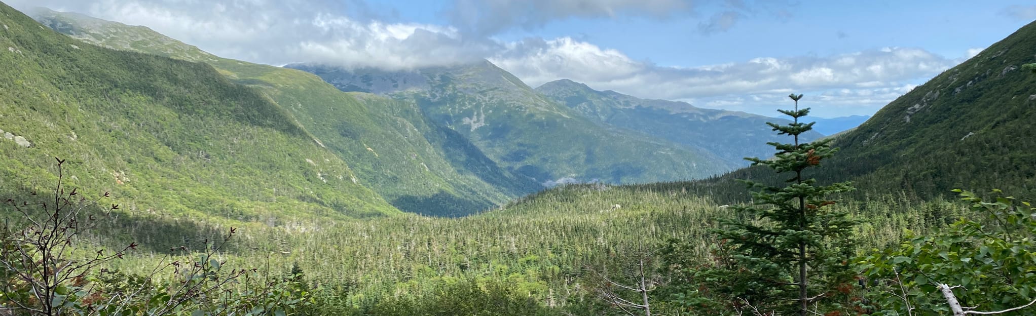 Great Gulf Trail: 148 Reviews, Map - New Hampshire | AllTrails