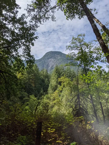 2023 Best 10 Easy Trails in Golden Ears Provincial Park | AllTrails