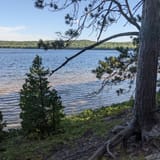 Beaver Lake Loop, Michigan - 132 Reviews, Map | AllTrails