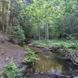 Beaver Lake Loop, Michigan - 132 Reviews, Map | AllTrails