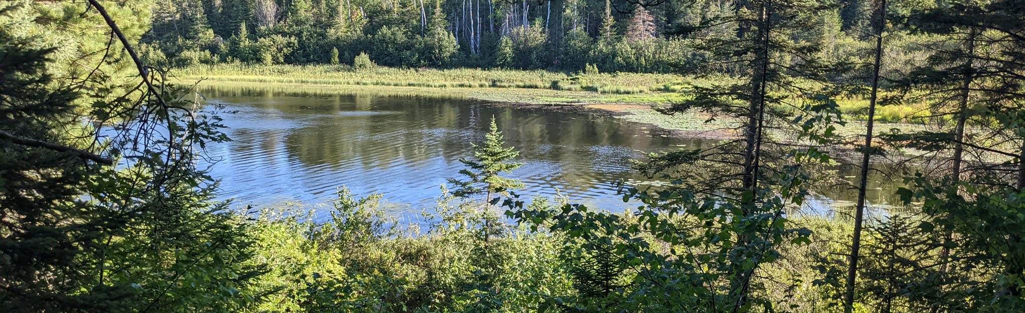 Coves Campground to Little Beaver Lake Trailhead, Michigan - 79 Reviews ...