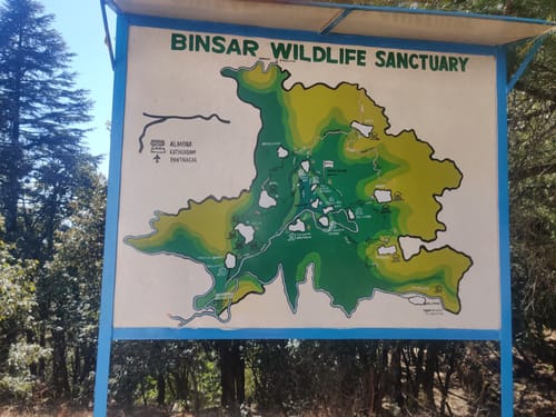 Best Hikes and Trails in Binsar Wildlife Sanctuary | AllTrails