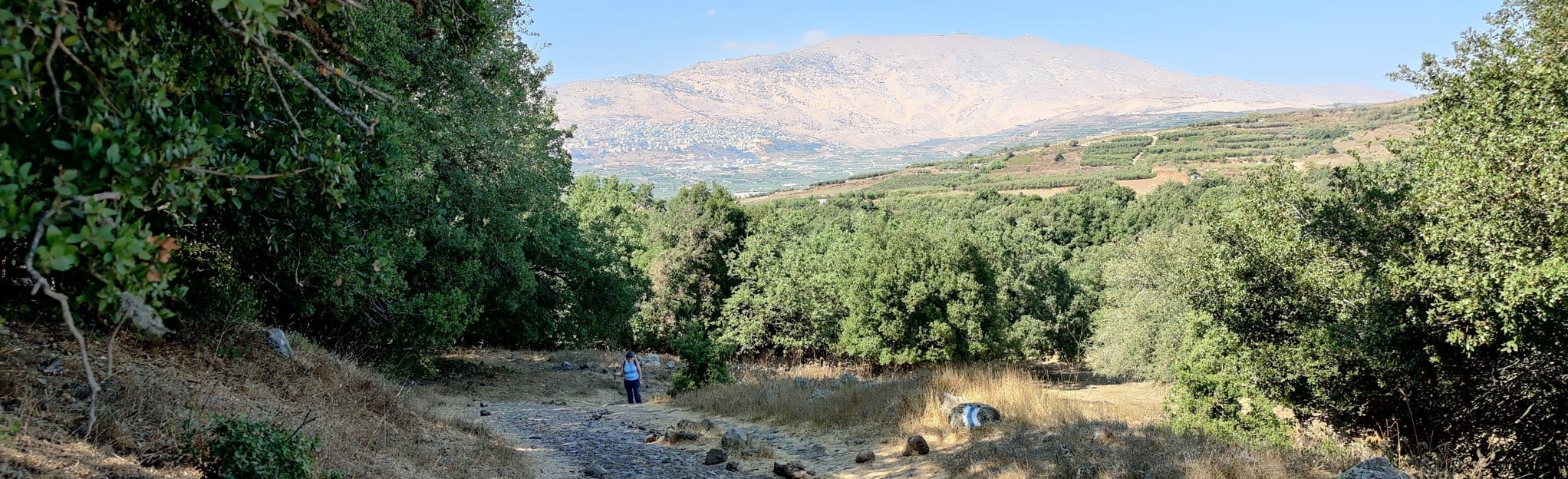 Golan Trail: Hermon to Odem: 2 Reviews, Map - Golan Heights, Israel ...