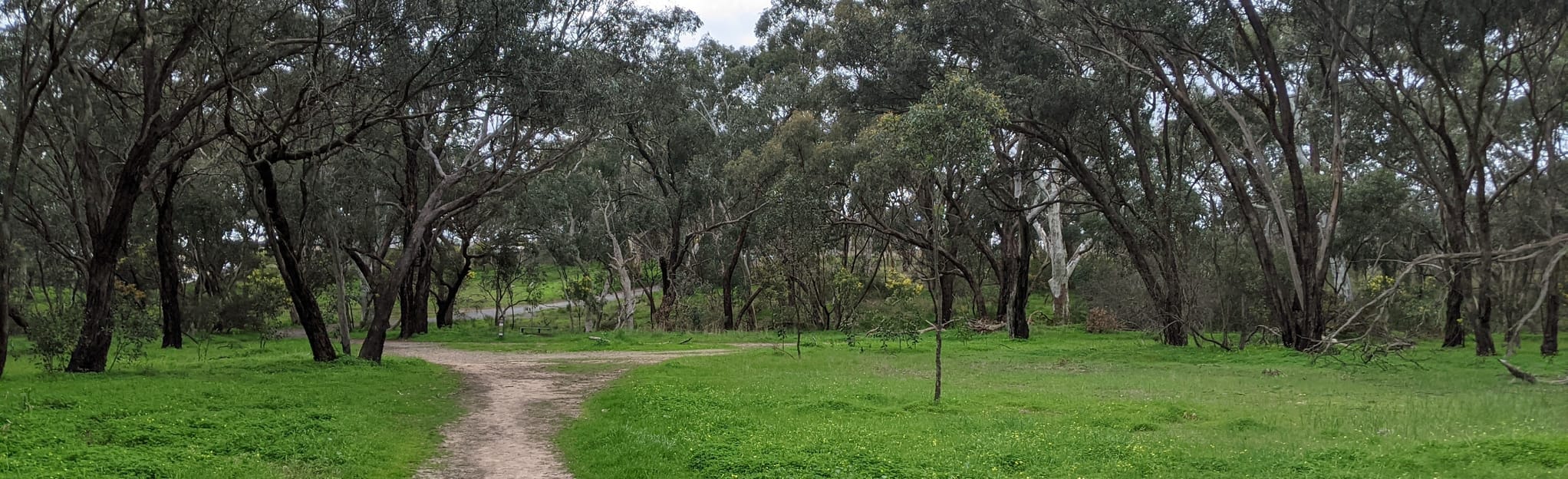 Tangari Regional Park Walking Trail : 78 Photos - Australie-Méridionale ...