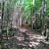 Franconia Brook Trail, New Hampshire - 252 Reviews, Map | AllTrails