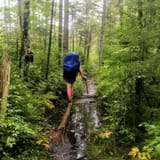 Franconia Brook Trail, New Hampshire - 252 Reviews, Map | AllTrails