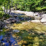 Franconia Brook Trail, New Hampshire - 252 Reviews, Map | AllTrails