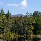 Franconia Brook Trail, New Hampshire - 252 Reviews, Map | AllTrails