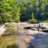 Franconia Brook Trail, New Hampshire - 252 Reviews, Map | AllTrails