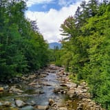 Franconia Brook Trail, New Hampshire - 297 Reviews, Map | AllTrails