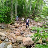 Franconia Brook Trail, New Hampshire - 297 Reviews, Map | AllTrails