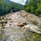 Franconia Brook Trail, New Hampshire - 297 Reviews, Map | AllTrails
