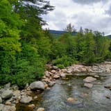 Franconia Brook Trail, New Hampshire - 297 Reviews, Map | AllTrails