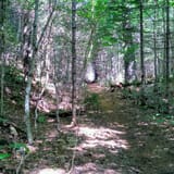 Franconia Brook Trail, New Hampshire - 297 Reviews, Map | AllTrails