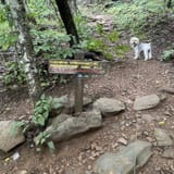Shamokin Nature Trail, Virginia - 99 Reviews, Map | AllTrails