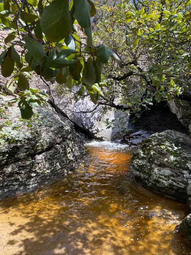 2023 Best 10 Easy Trails in Parque Nacional Cumbres de Majalca | AllTrails