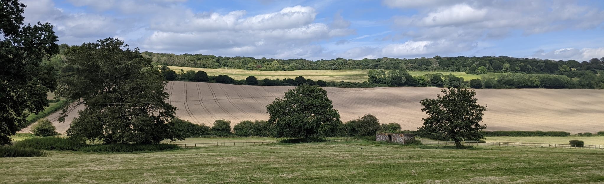Newlands Corner and St Martha's Hill Circular, Surrey, England - 459 ...