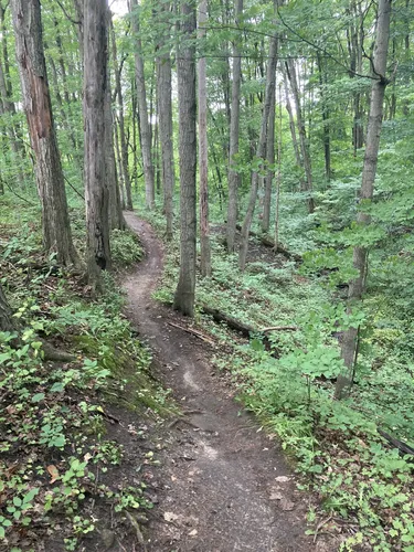 2023 Best 10 Trails and Hikes in Waterloo | AllTrails