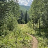 River Run Trail , Colorado - 122 Reviews, Map | AllTrails